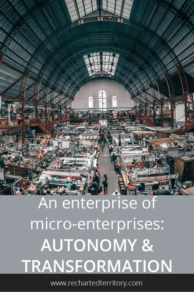 An enterprise of micro-enterprises: Autonomy and transformation