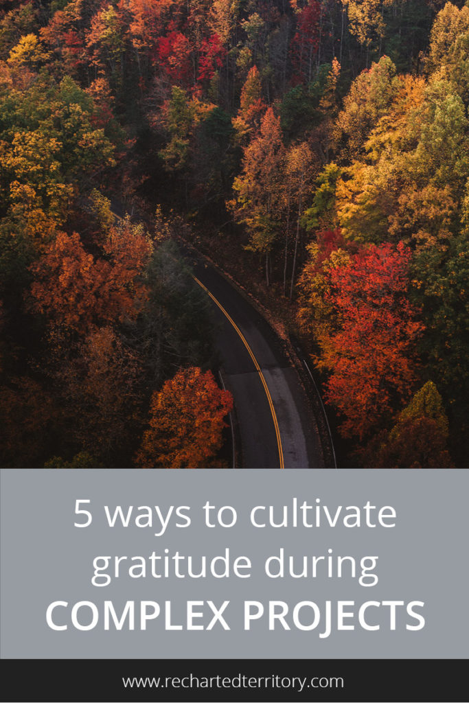 5 ways to cultivate gratitude during complex projects